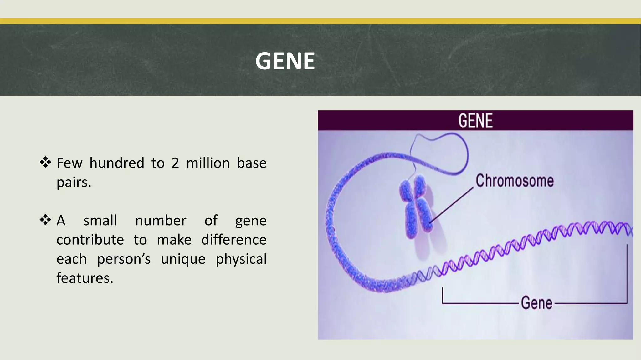 Basic Biocomputing | PPT