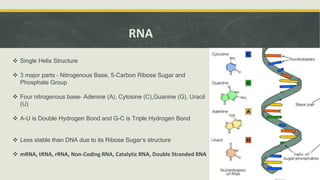 Basic Biocomputing | PPT