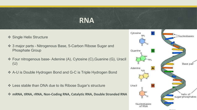Basic Biocomputing | PPT