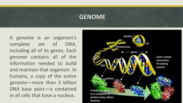 Basic Biocomputing | PPT