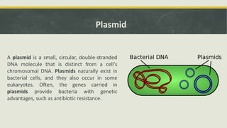 Basic Biocomputing | PPT