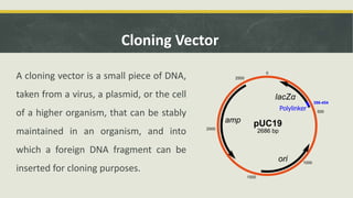 Basic Biocomputing | PPT