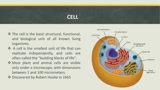 Basic Biocomputing | PPT