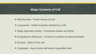 Basic Biocomputing | PPT