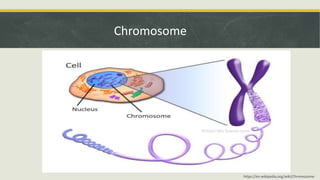 Basic Biocomputing | PPT