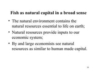 Basic bioeconomics model of fishing | PPT