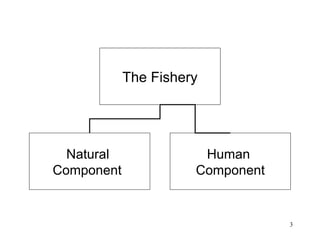 Basic bioeconomics model of fishing | PPT
