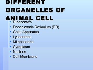 Basic Biological Concepts & Basic Genetics | PPT