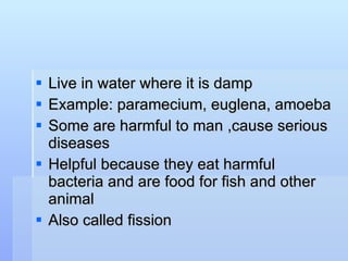 Basic Biological Concepts & Basic Genetics | PPT