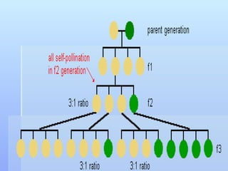 Basic Biological Concepts & Basic Genetics | PPT
