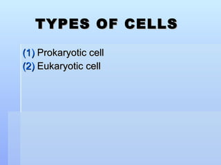 Basic Biological Concepts & Basic Genetics | PPT