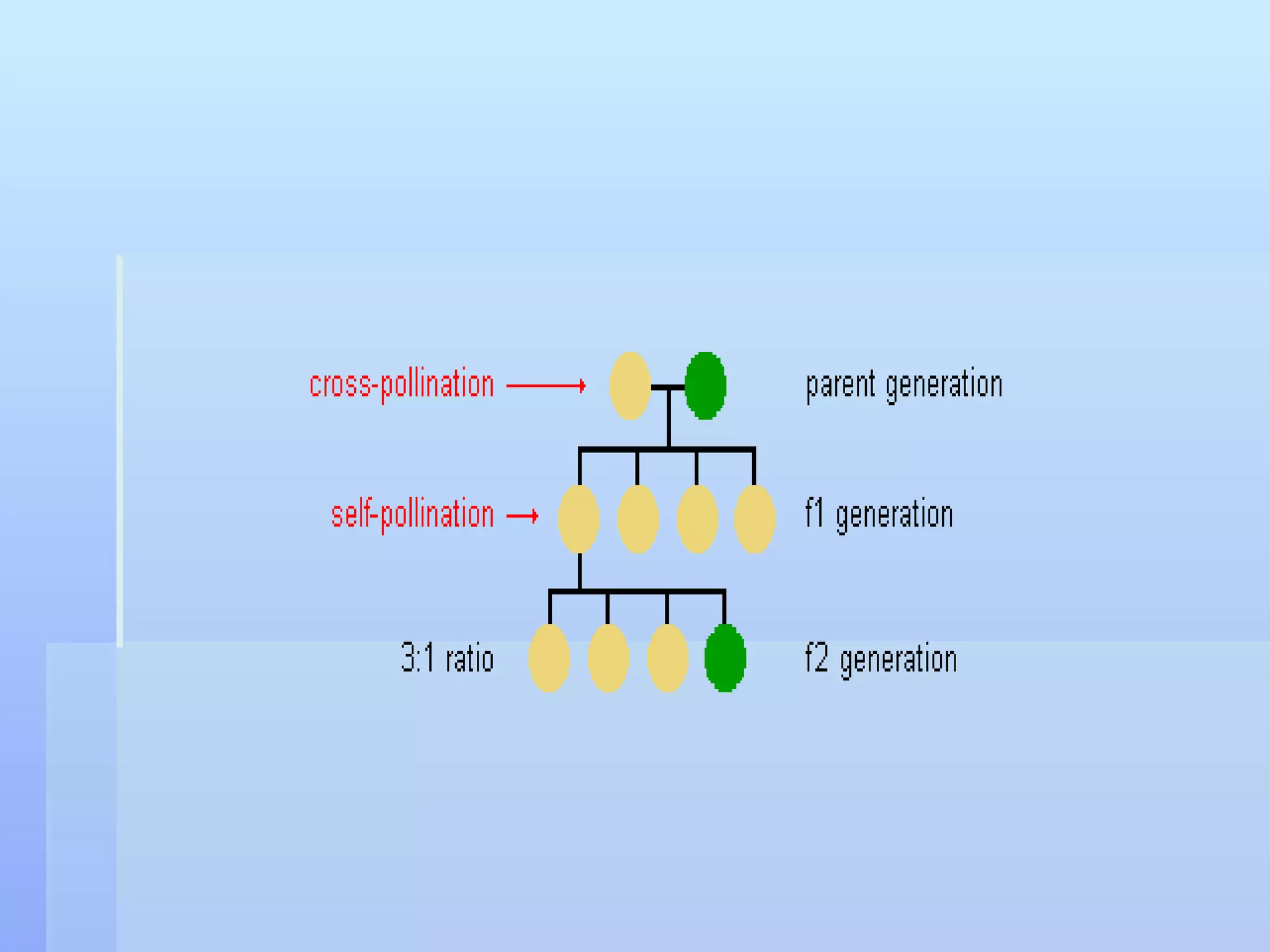 Basic biological concepts & basic genetics | PPT