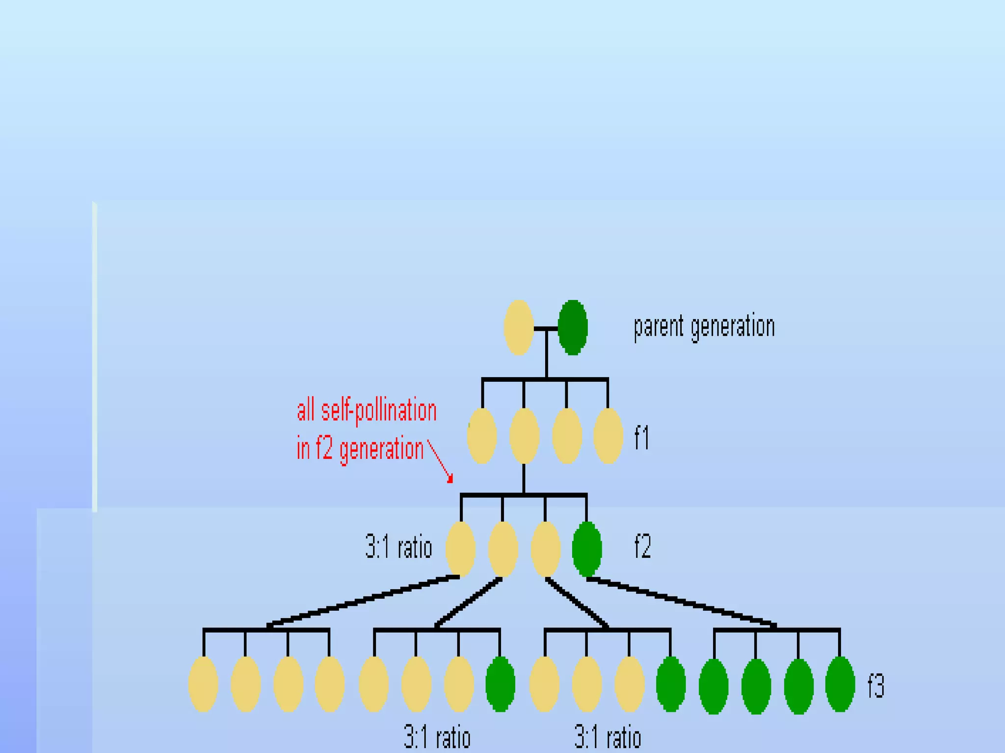 Basic biological concepts & basic genetics | PPT