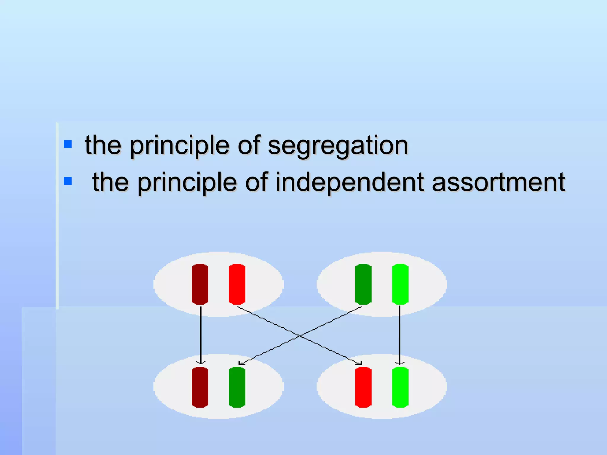 Basic biological concepts & basic genetics | PPT