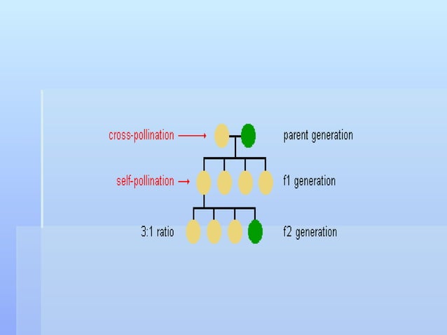 Basic biological concepts & basic genetics | PPT
