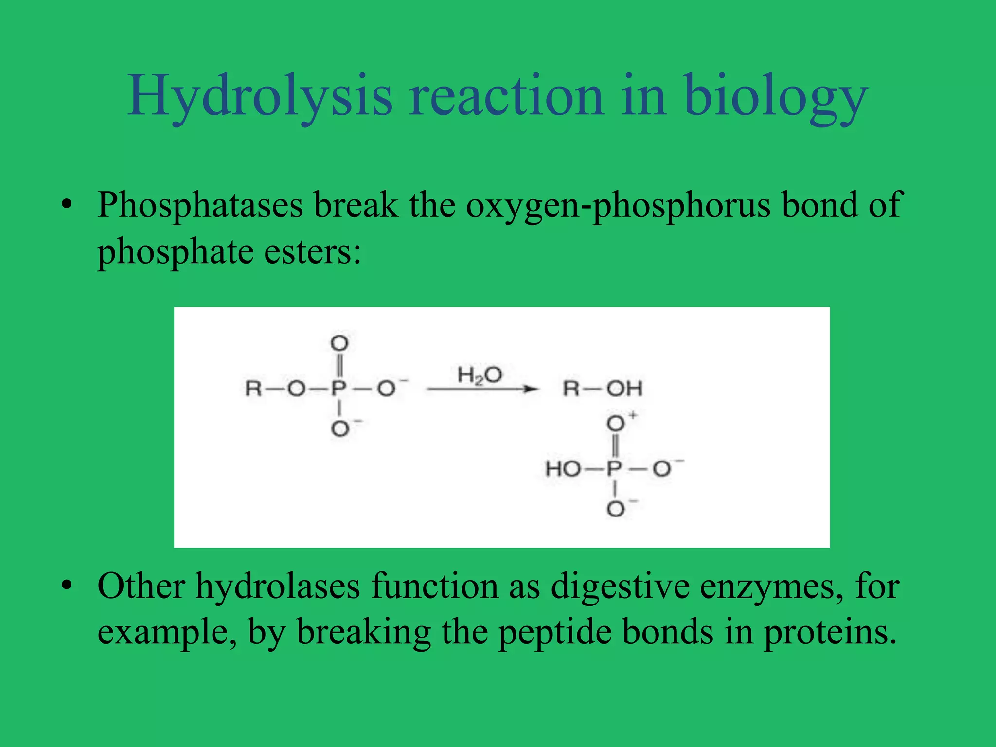 Basic biological reactions | PPTX
