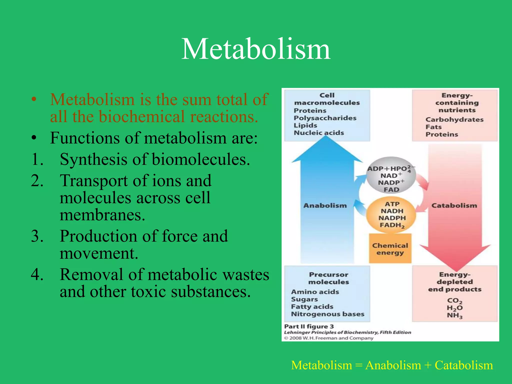 Basic biological reactions | PPTX