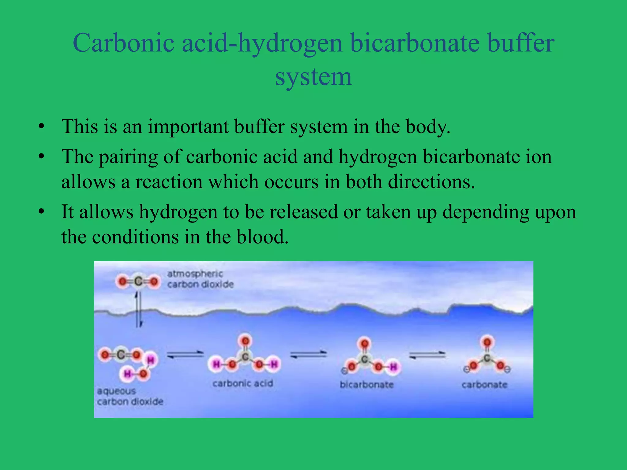 Basic biological reactions | PPTX