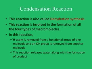 Basic biological reactions | PPTX