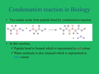 Basic biological reactions | PPTX