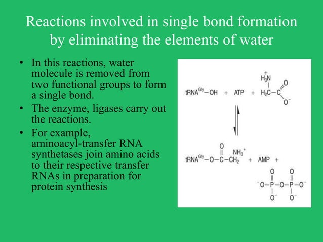 Basic biological reactions | PPTX | Chemistry | Science