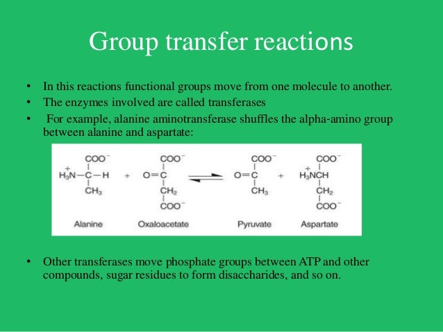 Basic biological reactions