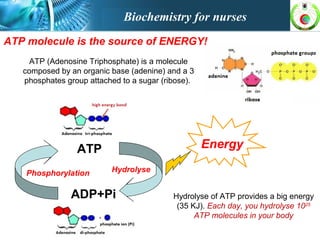 Basic biology for nurses | PPT | Chemistry | Science
