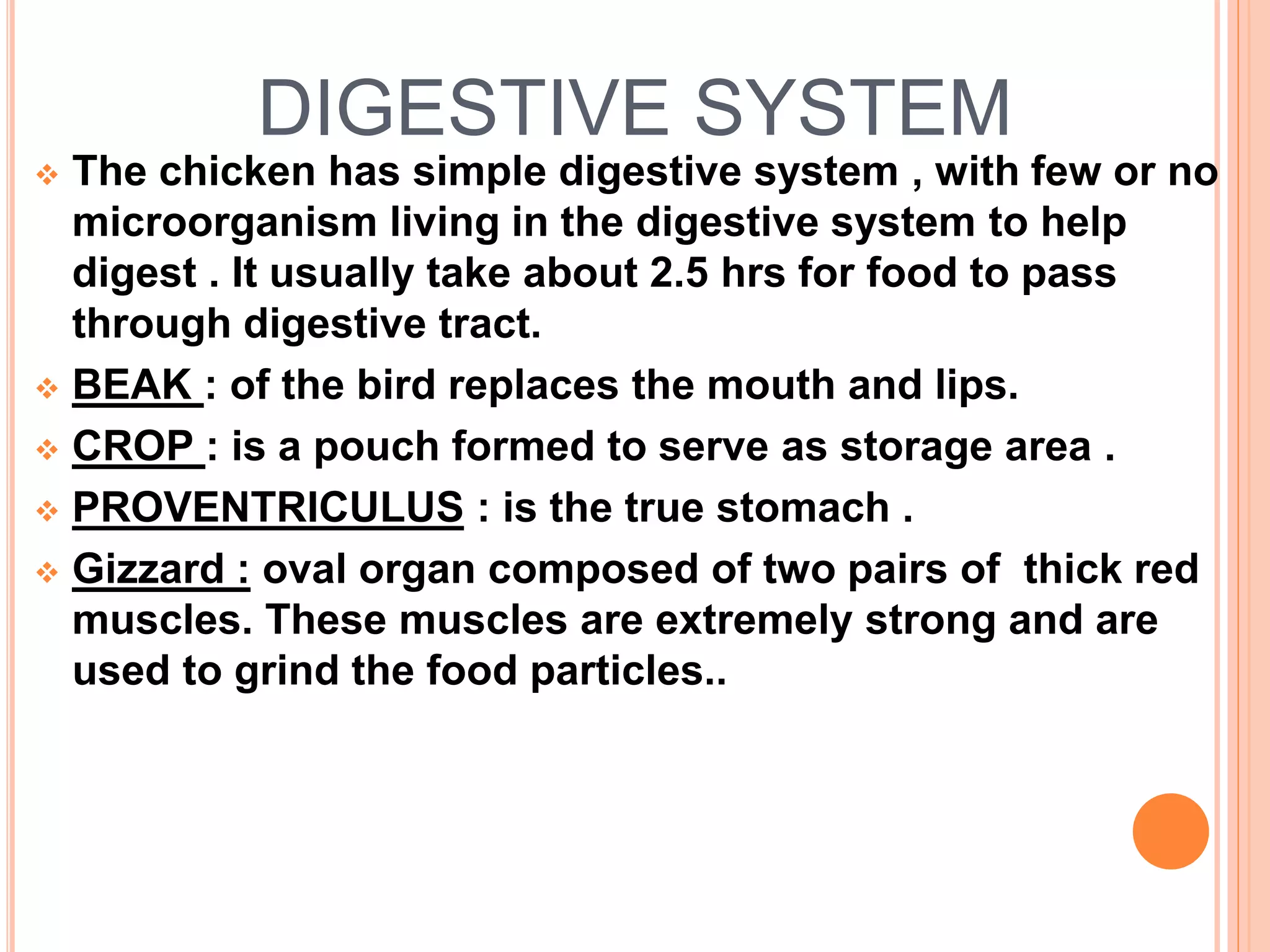 Basic biology of chicken | PPTX