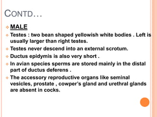 Basic biology of chicken | PPTX