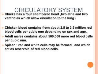 Basic biology of chicken | PPTX