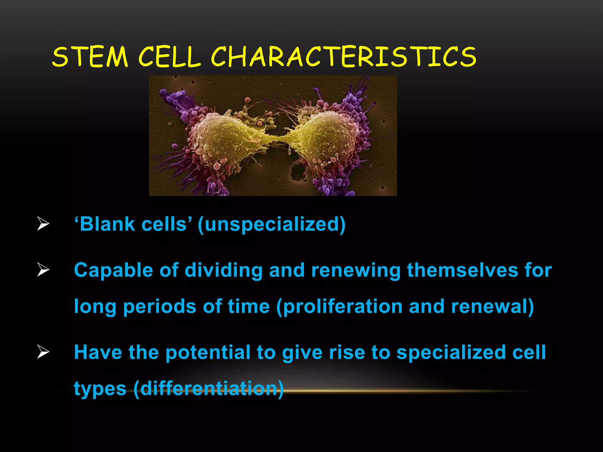 Basic biology of stem cells | PPTX