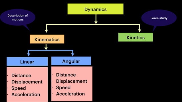 Basic biomechanics | PDF