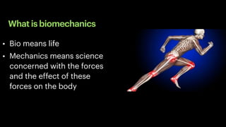 Basic biomechanics | PDF