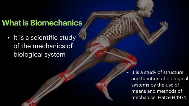 Basic biomechanics | PDF