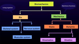 Basic biomechanics | PDF