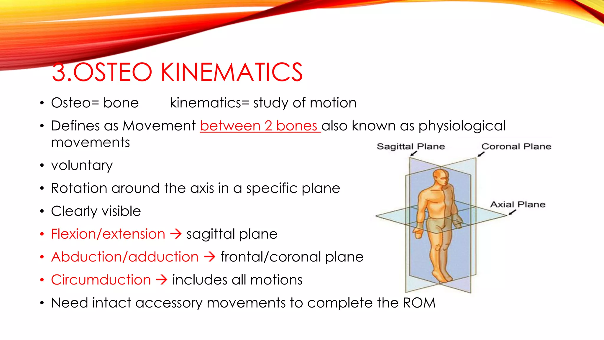 Basic biomechanics.pdf