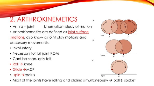 Basic biomechanics.pdf