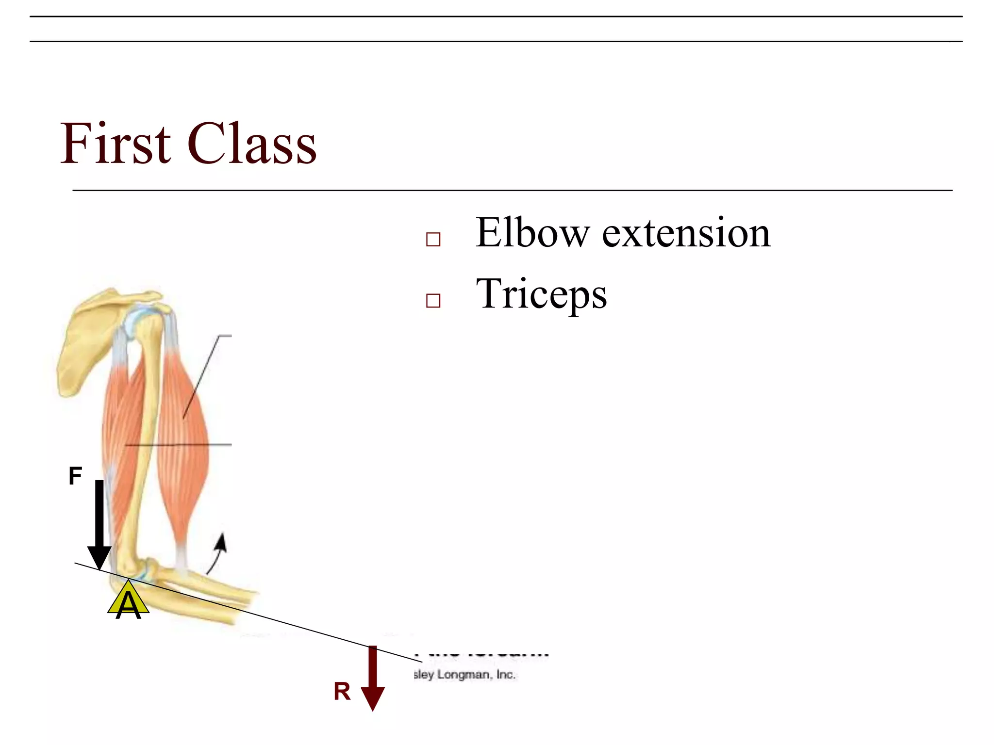 basic biomechanics levers.pptx