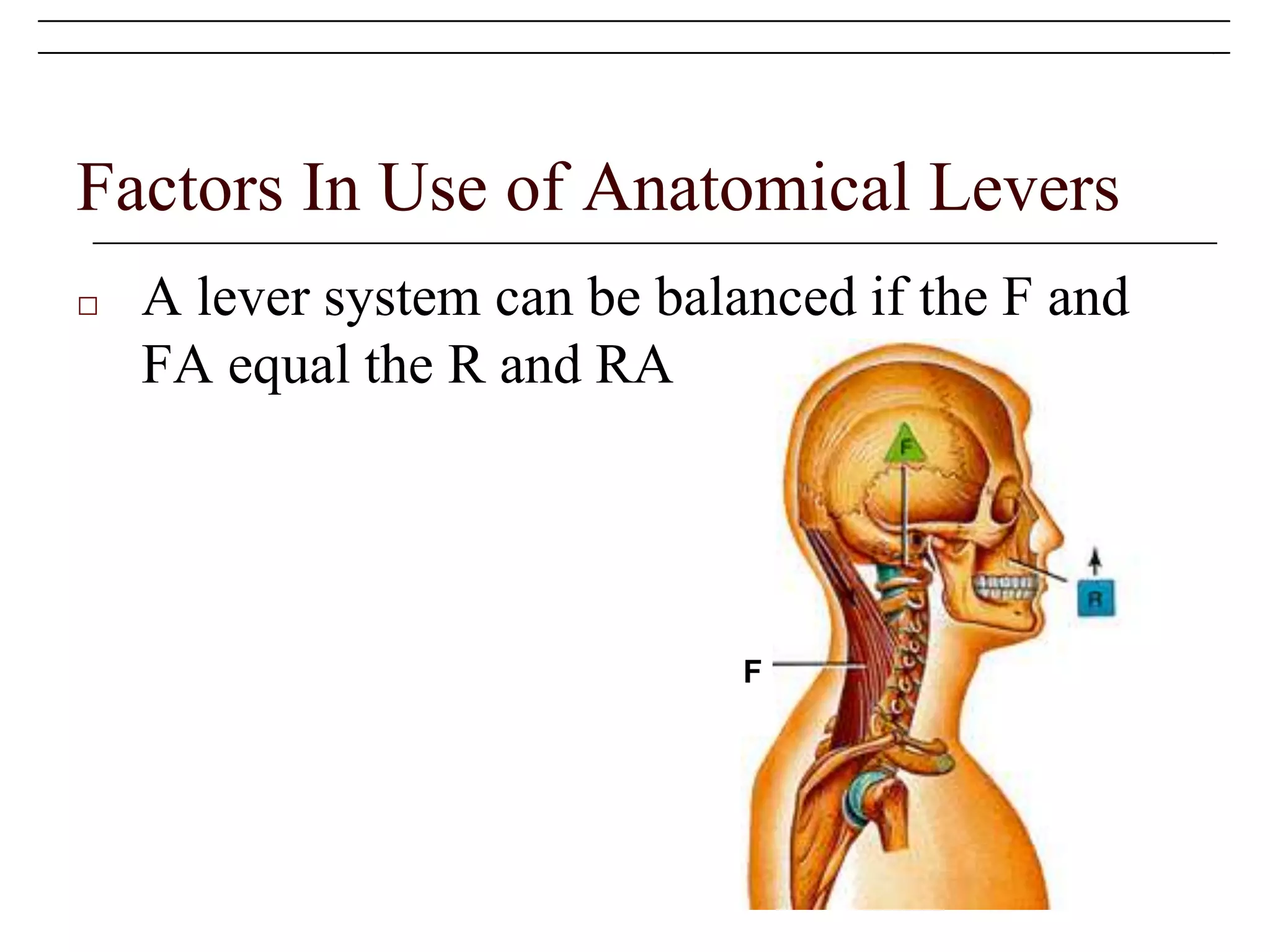 basic biomechanics levers.pptx