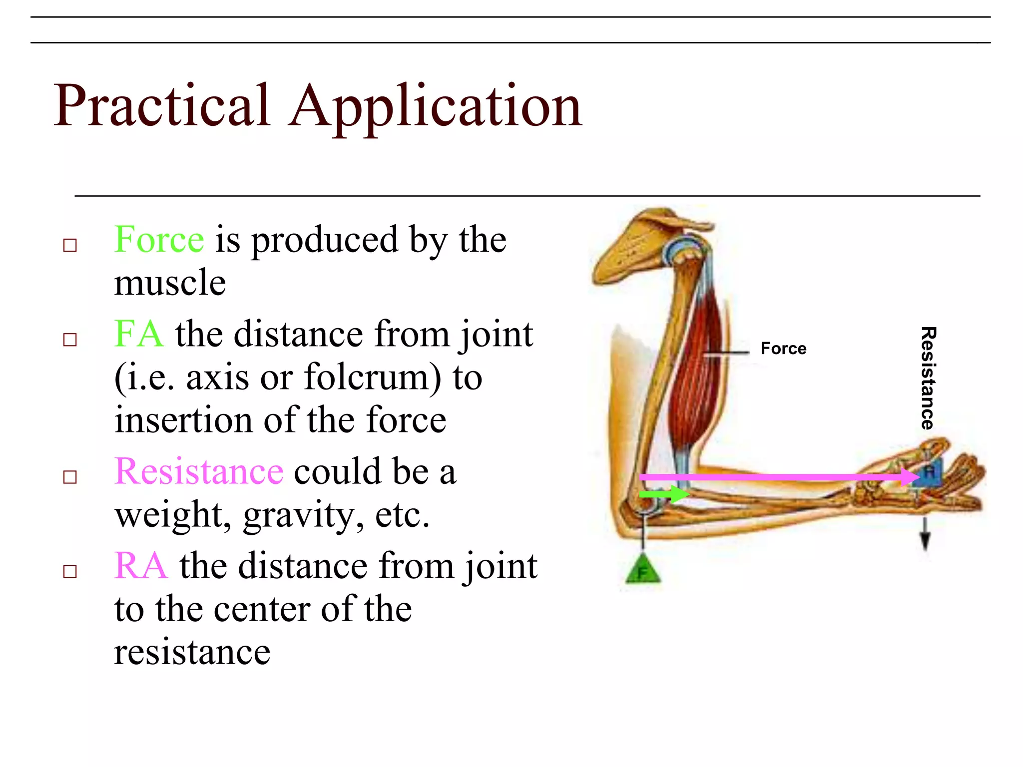 basic biomechanics levers.pptx