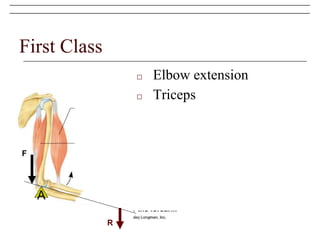 basic biomechanics levers.pptx