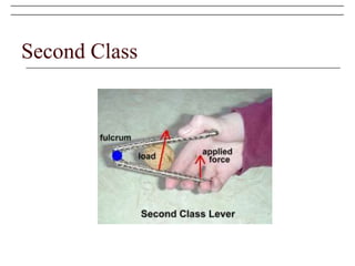basic biomechanics levers.pptx