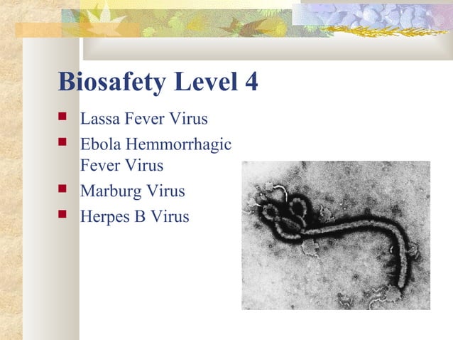 Basic Principles of Biosafety | PPT