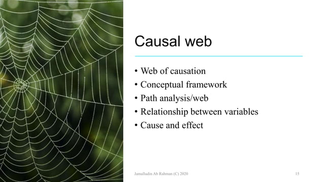 Introduction to Practical Biostatistics | PPTX | Science