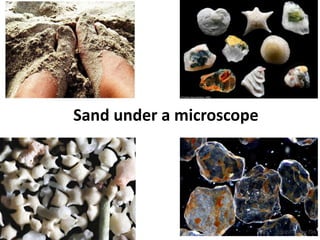 Basic blocks of matter | PPTX