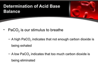 Basic Blood Gas Interpretation. in the blood flow | PPT