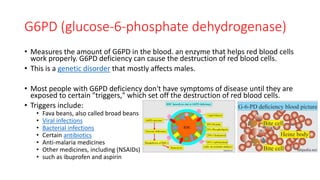 BASIC BLOOD REPORETS INTERPRETASTION.pptx