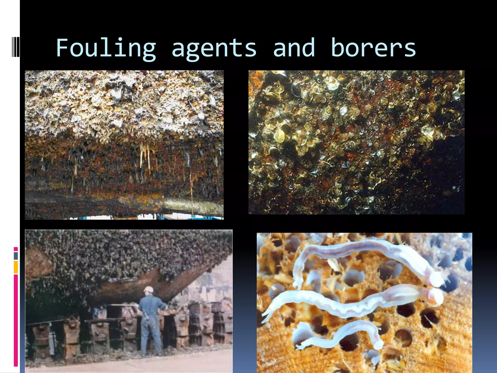 Basic boat building techniques: A Fisheries Science | PDF