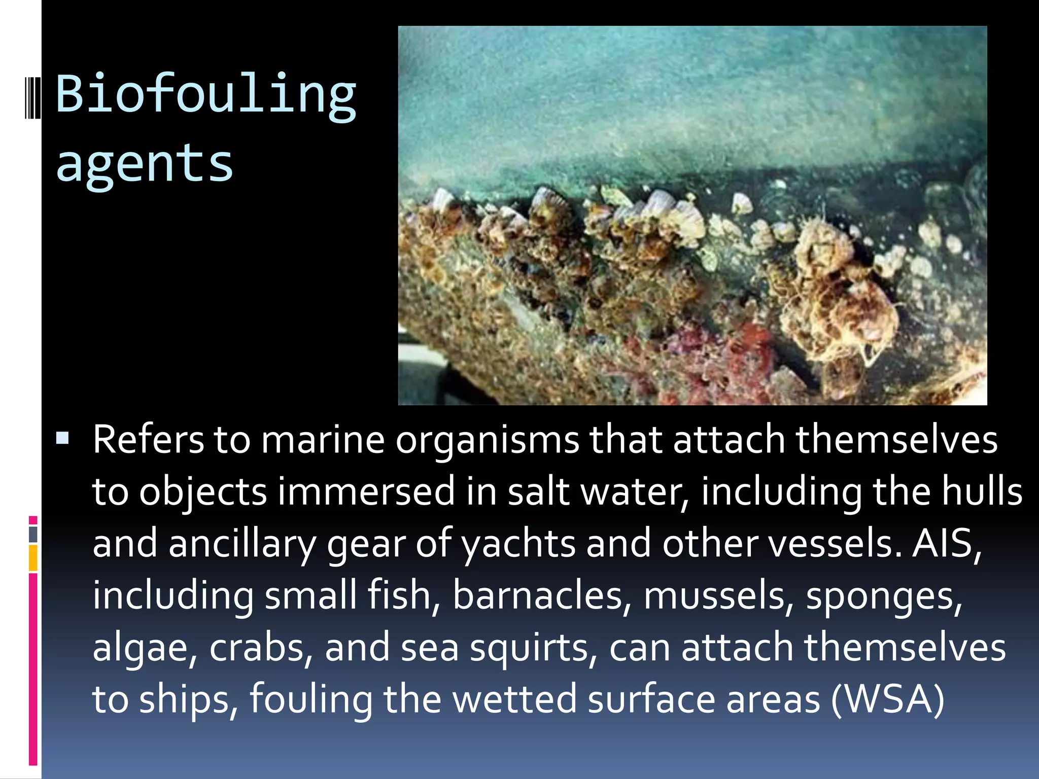 Basic boat building techniques: A Fisheries Science | PDF