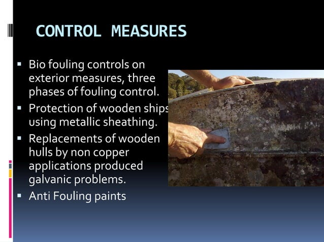 Basic boat building techniques: A Fisheries Science | PDF